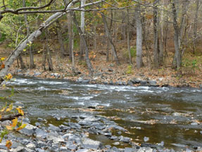 Peggy Lampman Real Estate, Overlooks Claverack Creek, Property 279